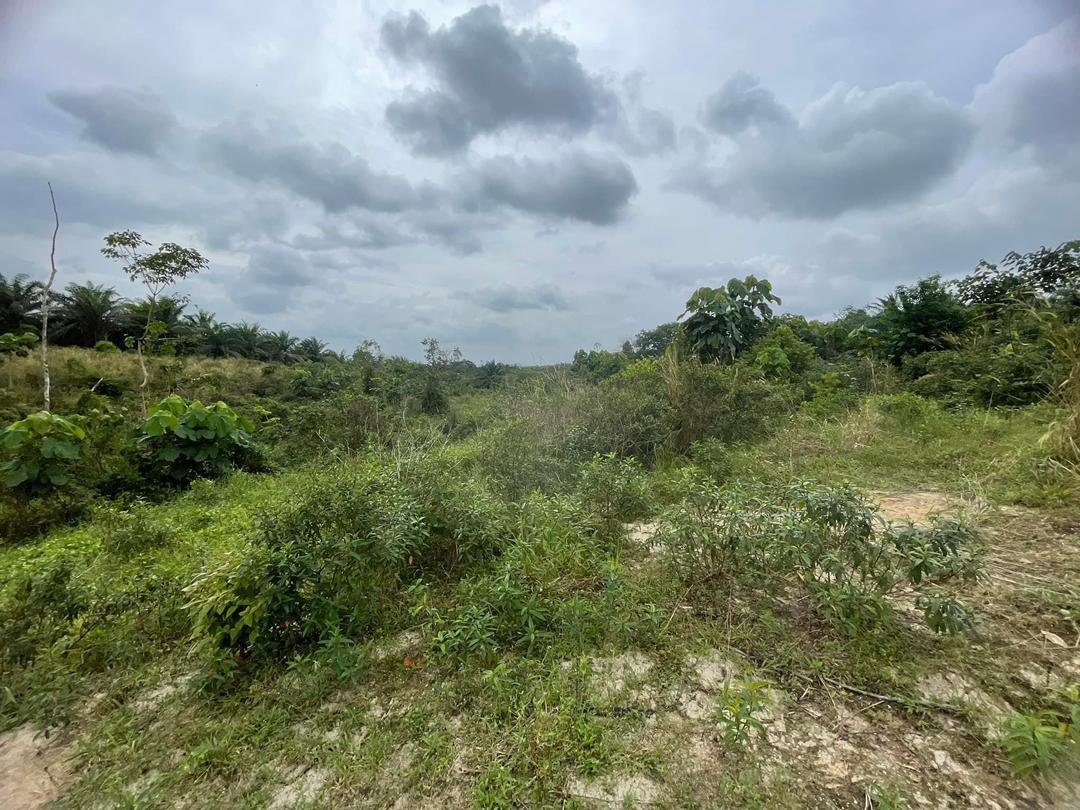 Lot 2328, Rancangan Tanah Pinggir, Batu 29 Kahang, Kluang Johor – Nita ...